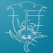 Login - City of Waterloo